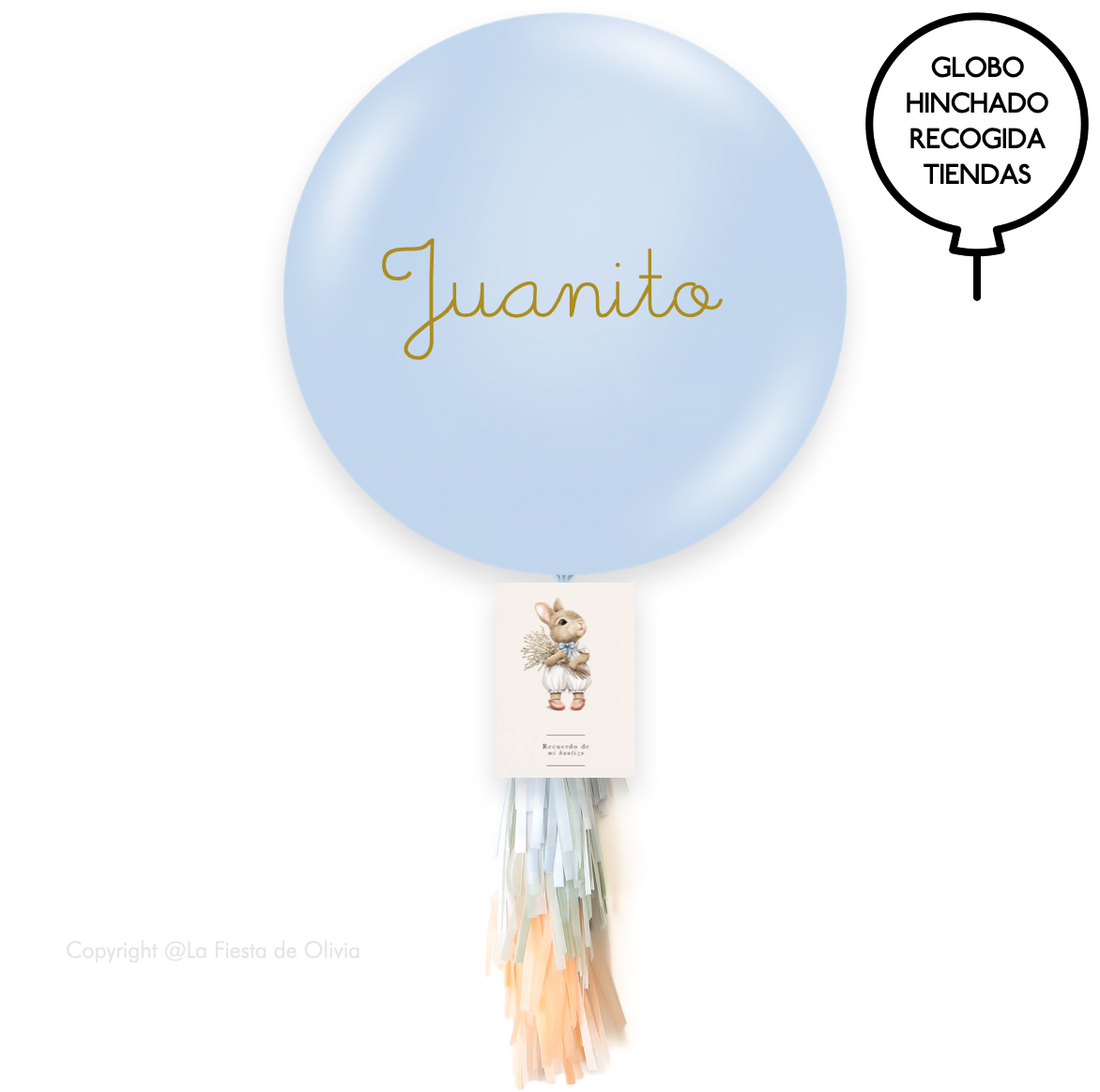 FULL PETER RABBIT SOUVENIR inflated balloon – La Fiesta de Olivia